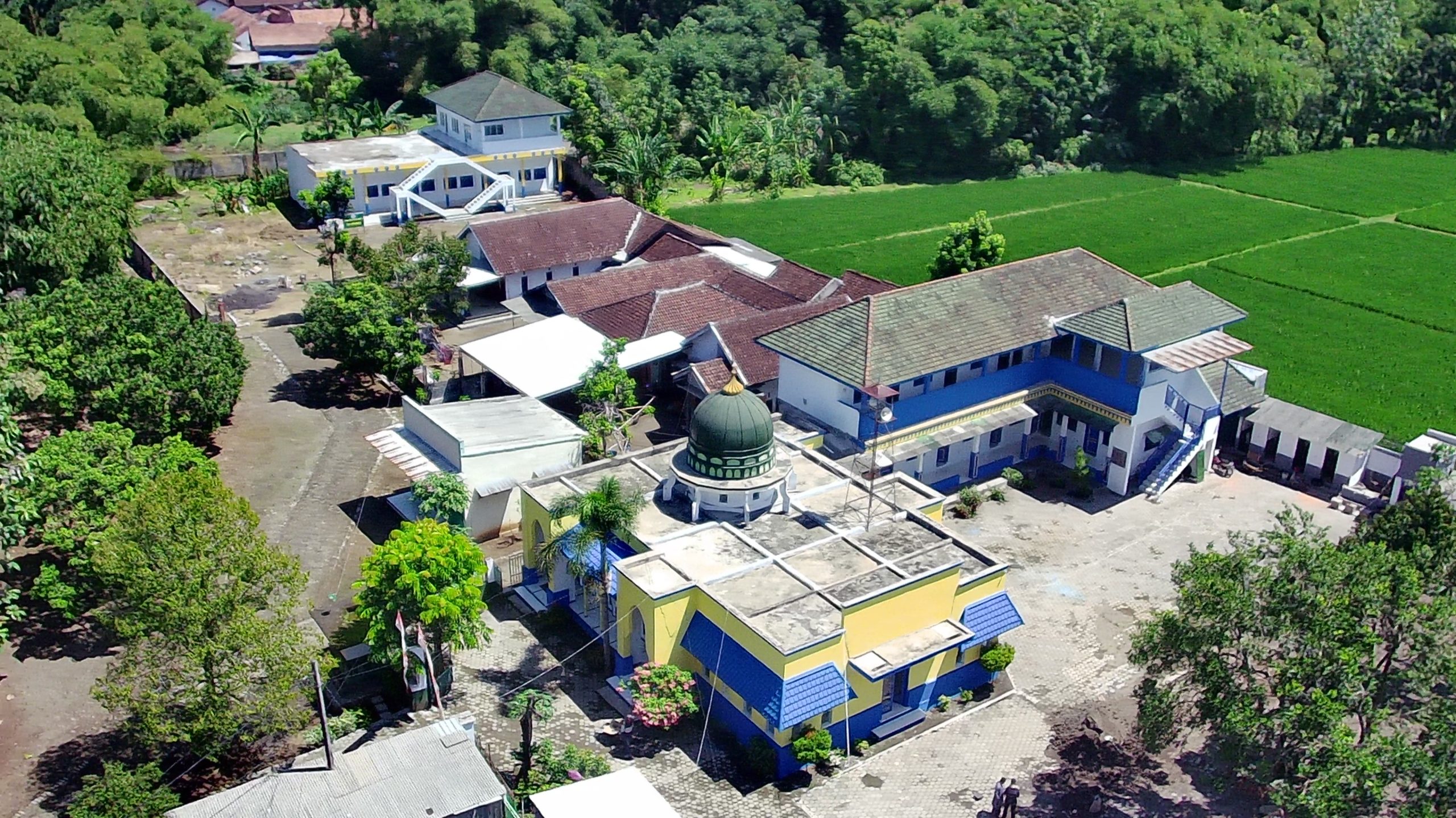 Tentang NIBS — NIBS Jember